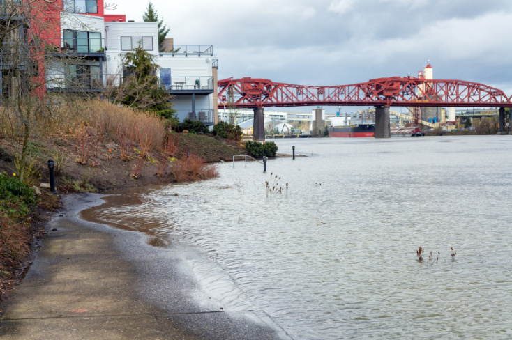 Oregon Flood Insurance: Roseburg Oregon Flood Map Update